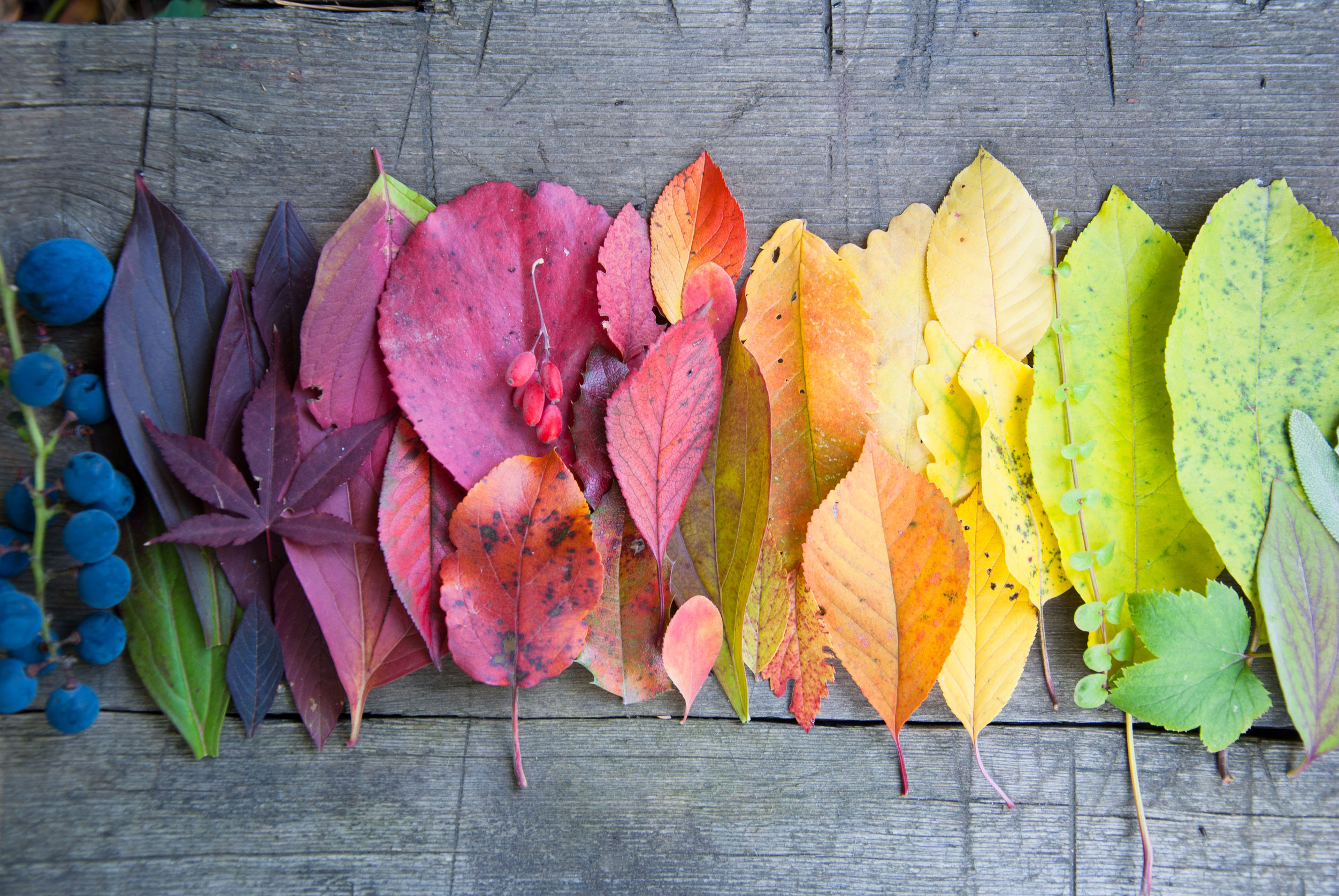 Significato colori in fase di allestimento: consigli utili su come ...